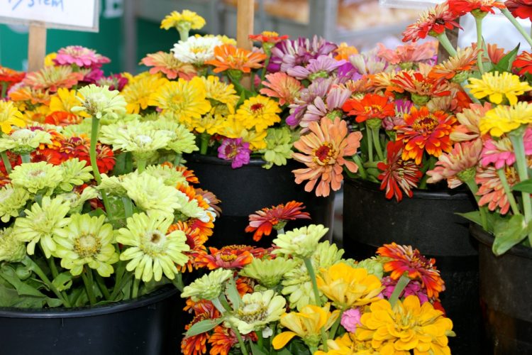 Farmer’s Market Flowers - America's Table