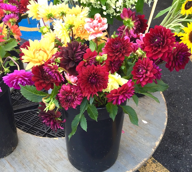 A Guide to Farmer's Market Flowers - America's Table