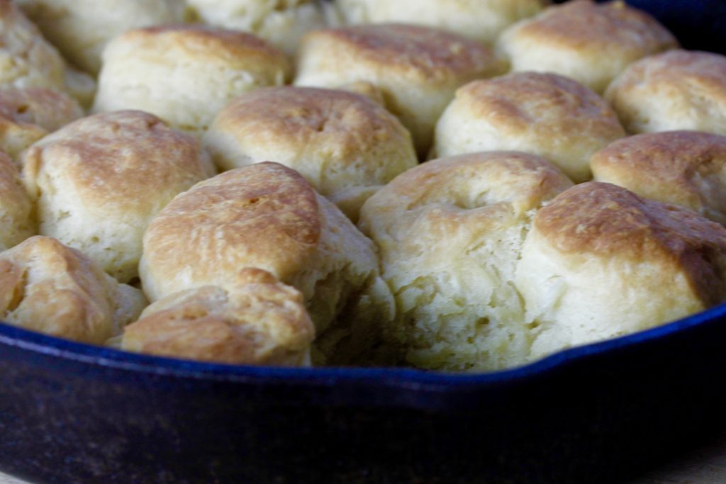 Yeast Biscuits - America's Table